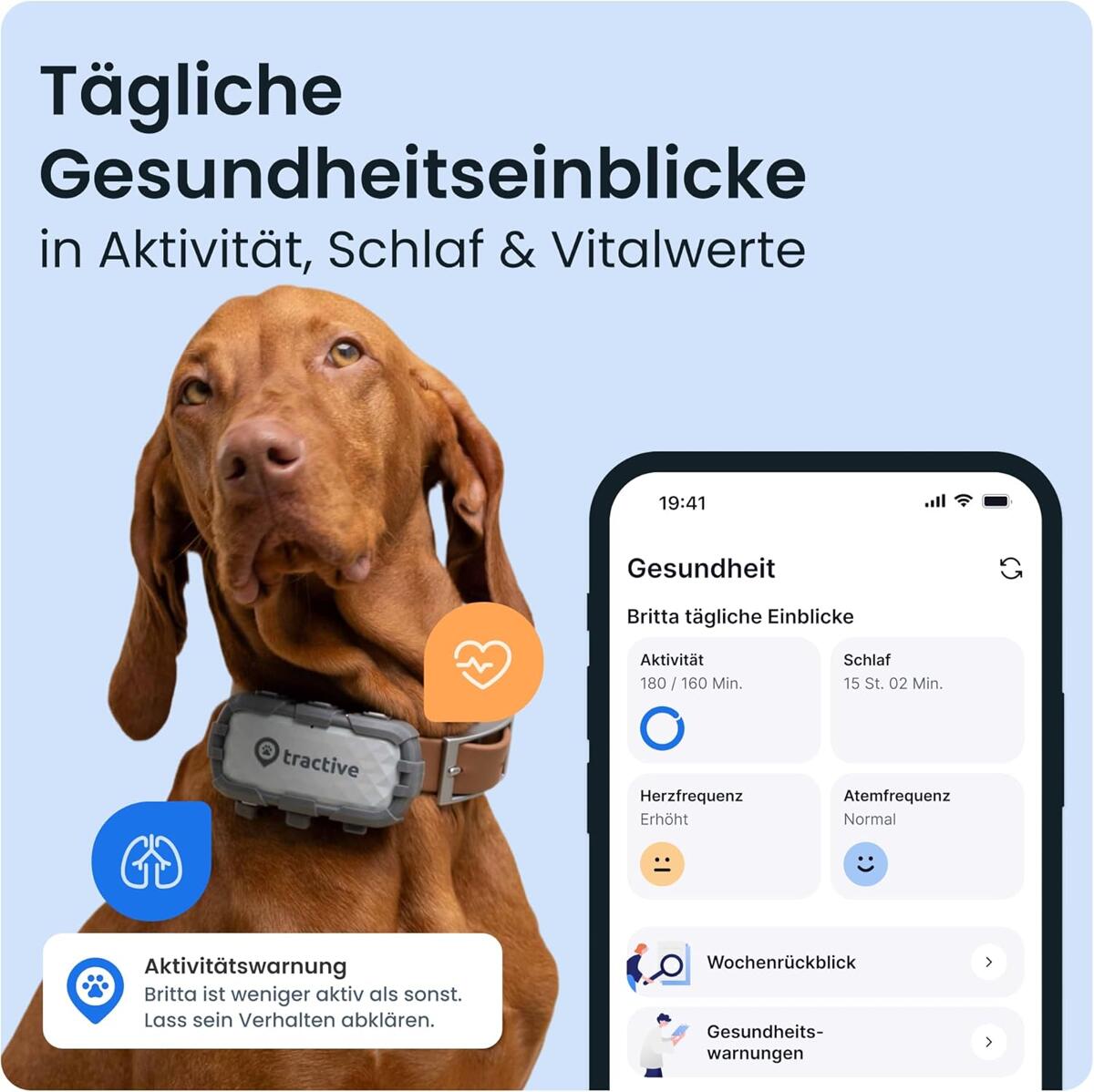 Tractive Dog XL Adventure Edition GPS Tracker PetPoint Charly