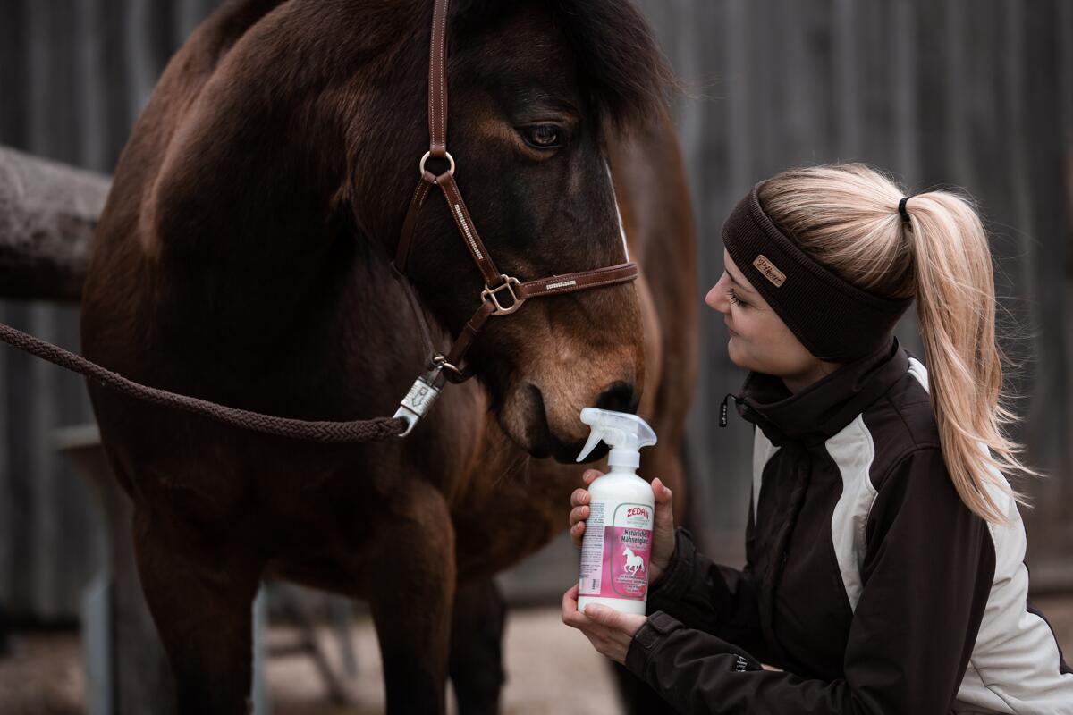 ZEDAN 2-Phasen Mähnenglanz Spray, 500ml PetPoint Charly