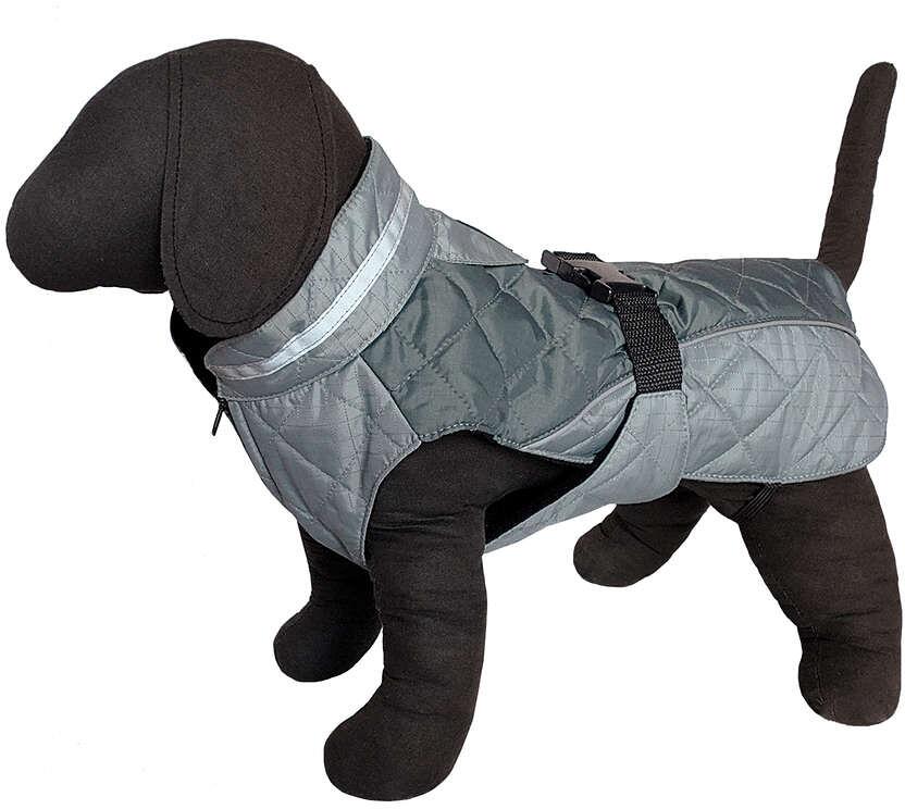 TiBu Wintermantel 2 | L PetPoint Charly