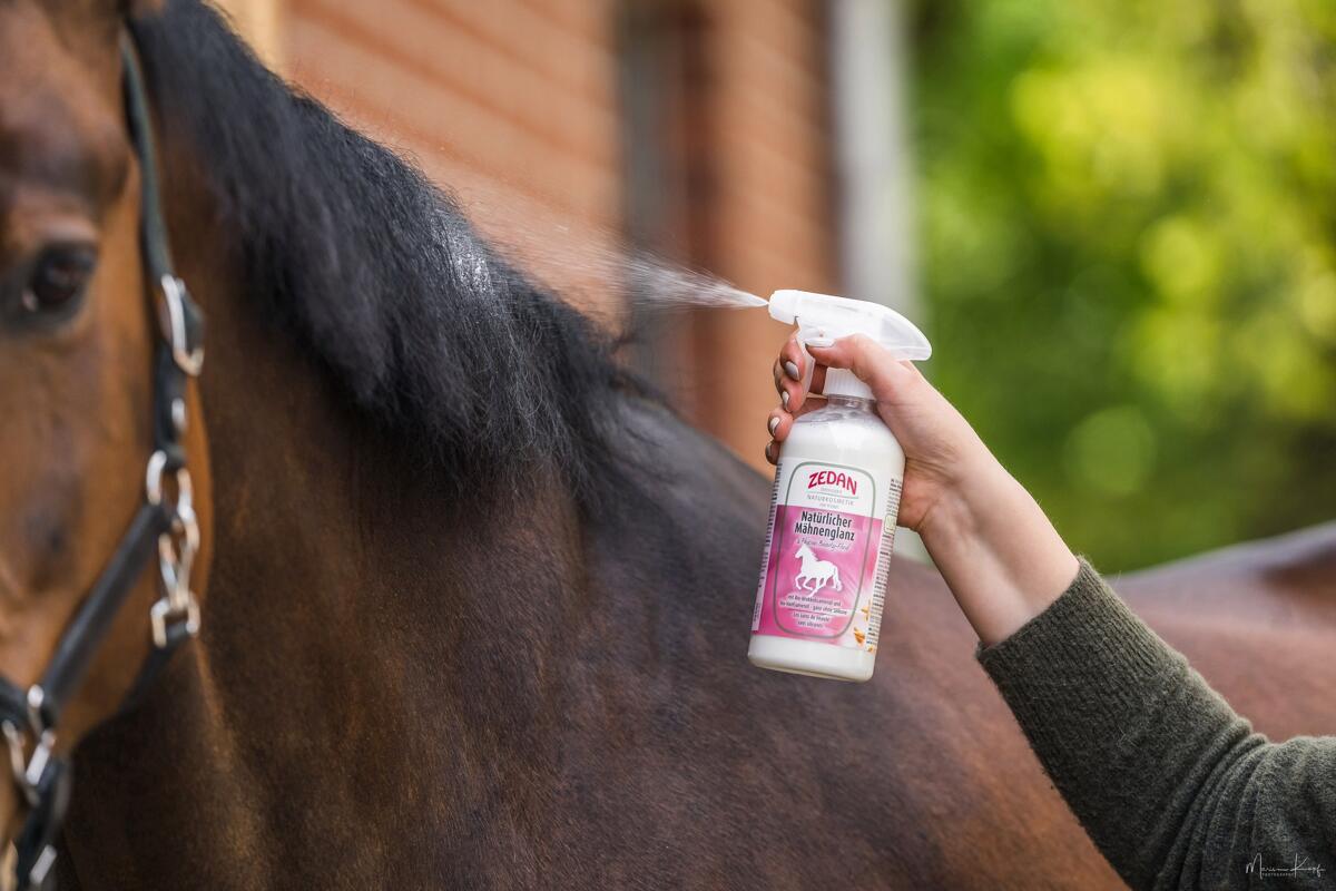 ZEDAN 2-Phasen Mähnenglanz Spray, 500ml PetPoint Charly