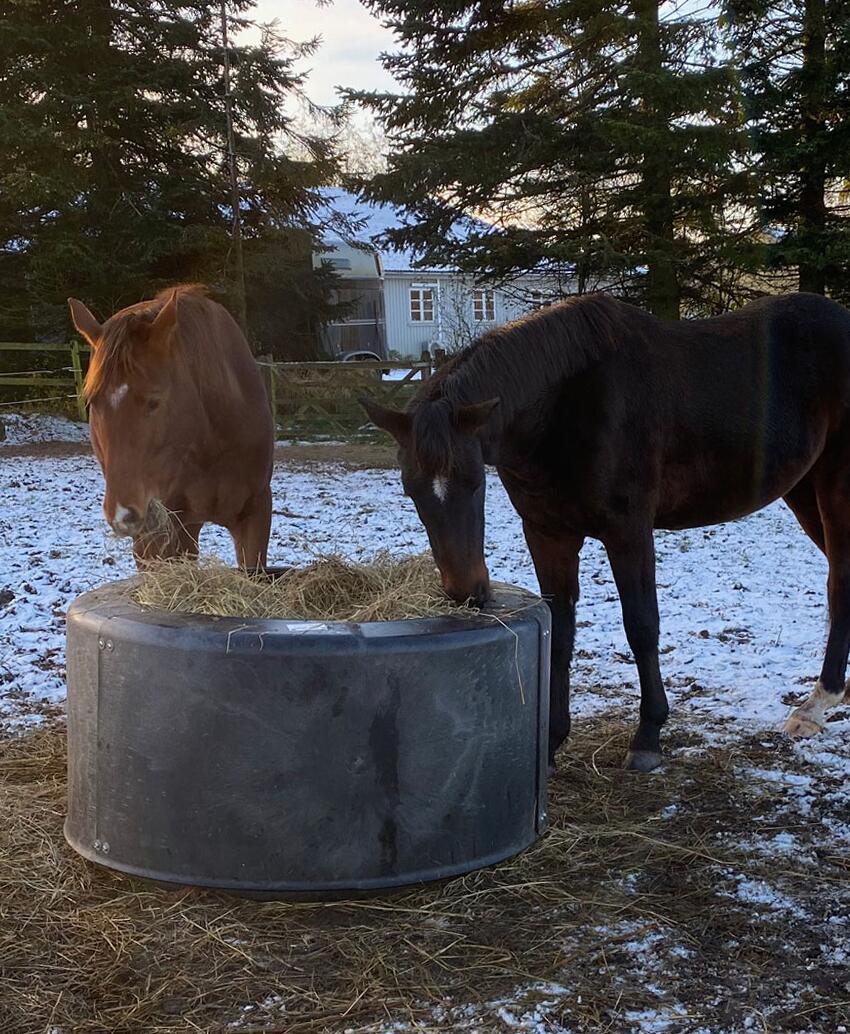 Göbel Iglu Heuspender PetPoint Charly