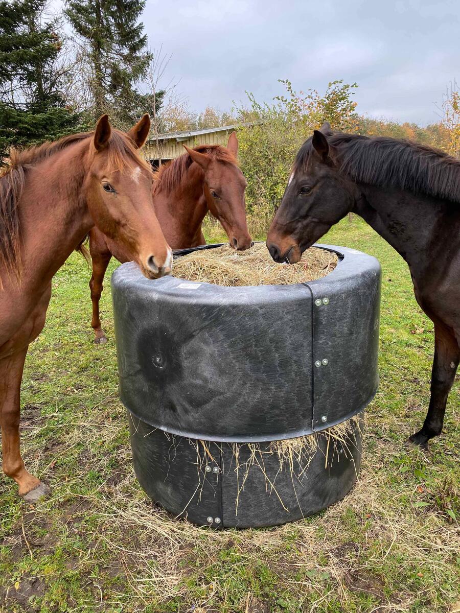 Göbel Iglu Heuspender PetPoint Charly